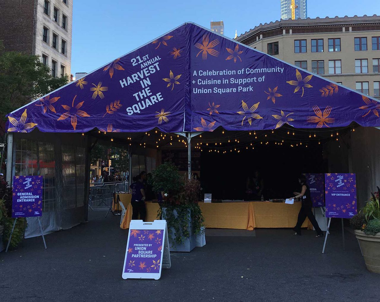 Festivals - Ace Party and Tent Rental